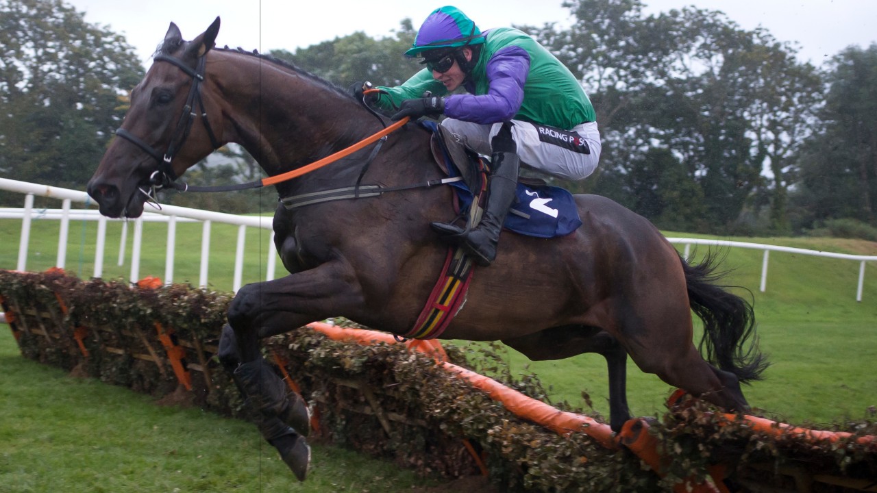 Smaller trainers out to shine on the grandest stage in Irish racing ...