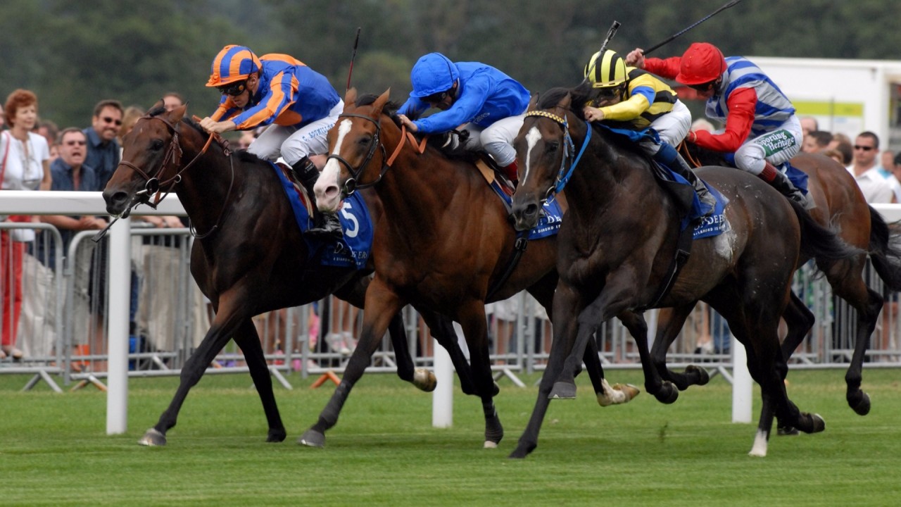 Brilliant Arc hero Hurricane Run dies at stud | Horse Racing News | Racing Post