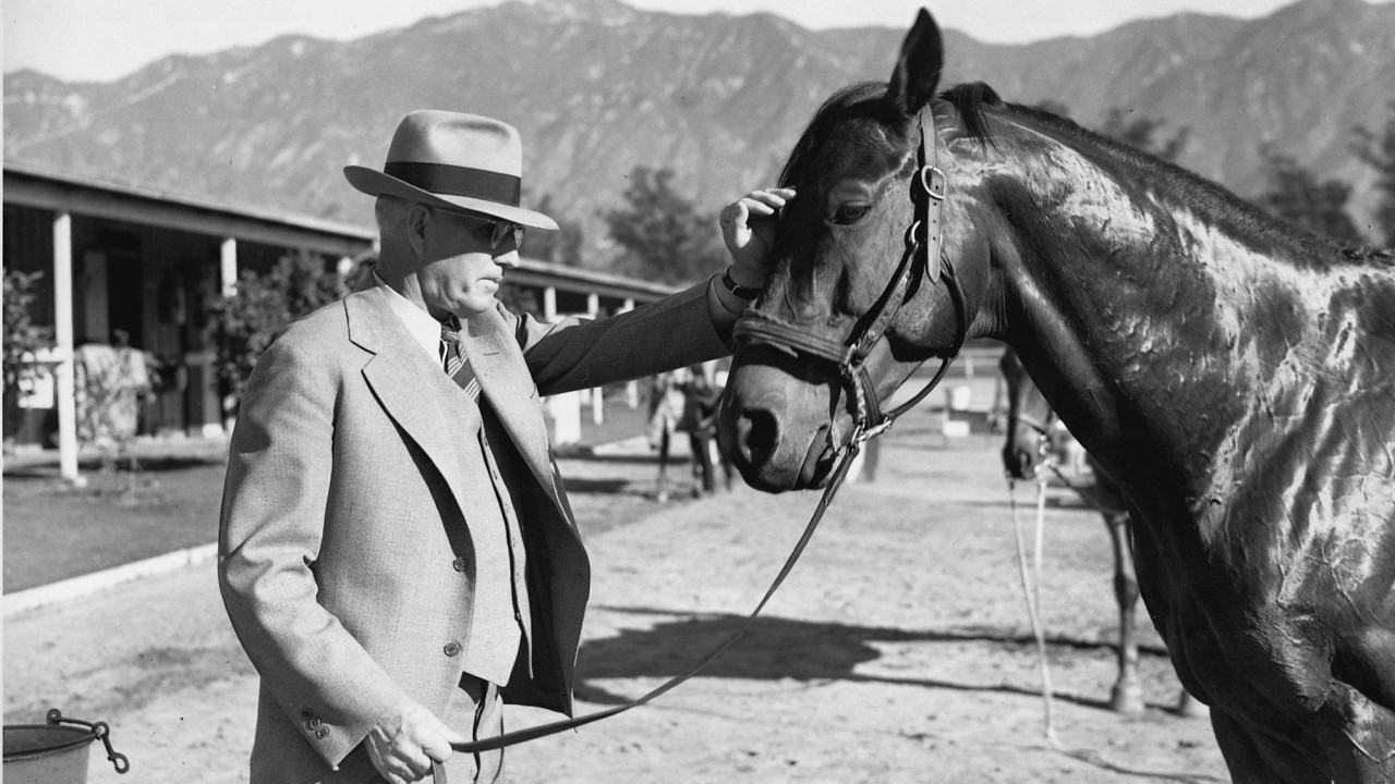 DNA holds the key to understanding Seabiscuit’s greatness | Horse ...