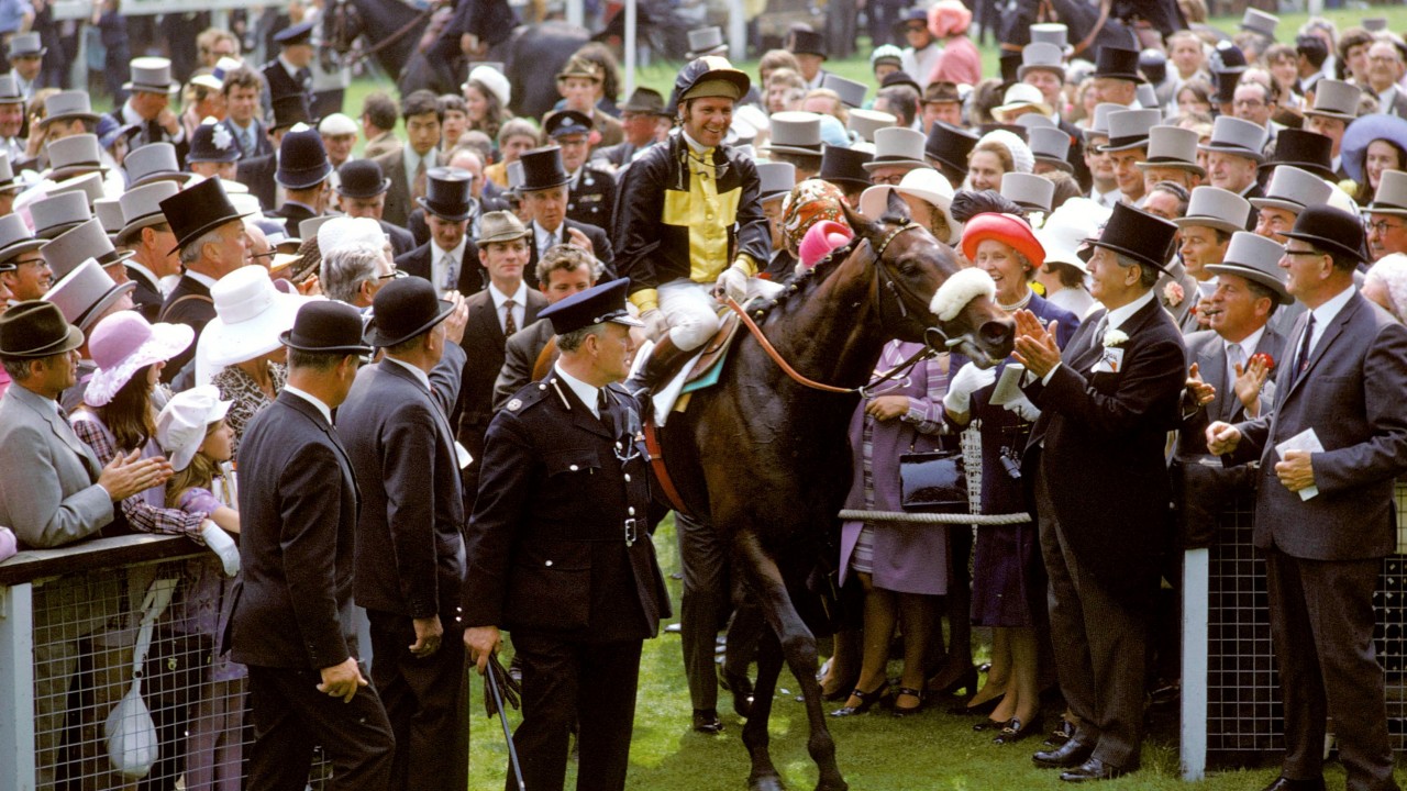 'My main sensation was intense relief after Mill Reef's victory ...
