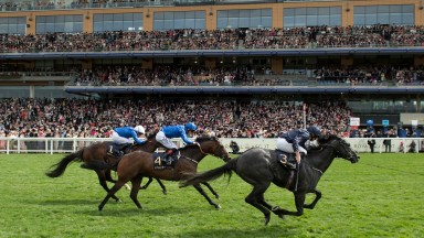 Horse Racing News | Racing News As It Happens | Racing Post