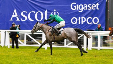 Horse Racing News | Racing News As It Happens | Racing Post