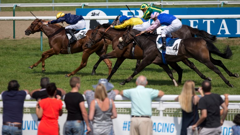 PMU returns extra €13m to racing and trotting after beating 2019 ...