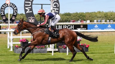 Horse Racing News | Racing News As It Happens | Racing Post