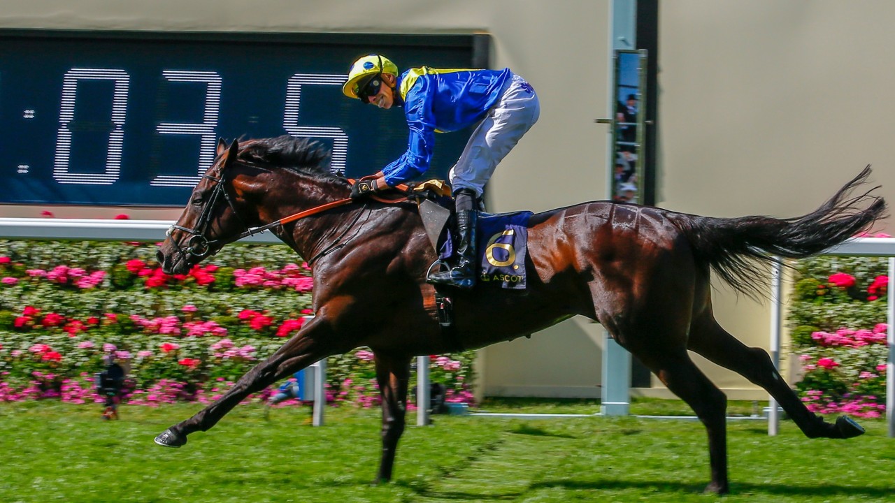 One trainer, one jockey, one horse and one race to watch on Saturday ...