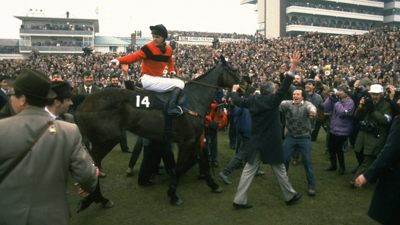 Dawn Run's Gold Cup was the greatest race I and many others ever ...