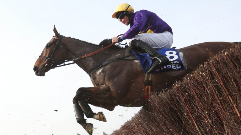 Horse Racing News | Latest Racing Updates | Racing Post