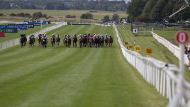 Horse Racing News | Latest Racing Updates | Racing Post