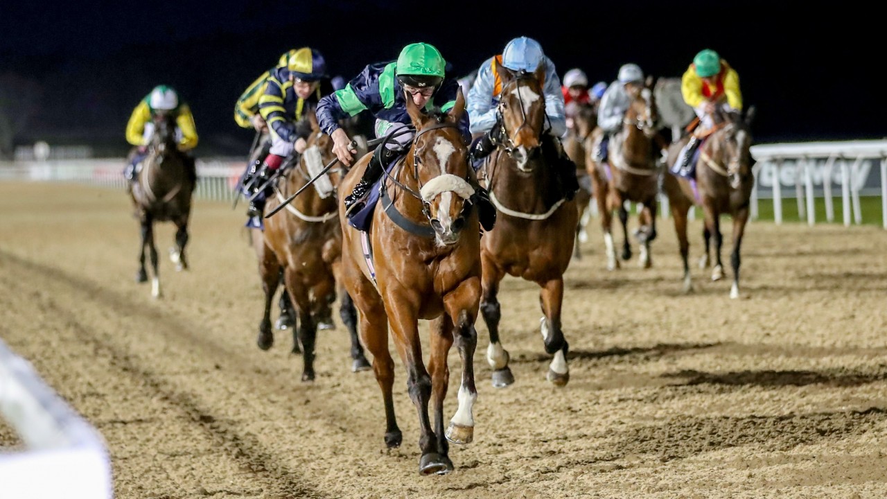 All-Weather Finals: all you need to know as Lion Hearted targets £ ... All-Weather Finals: all you need to know as Lion Hearted targets £ ...