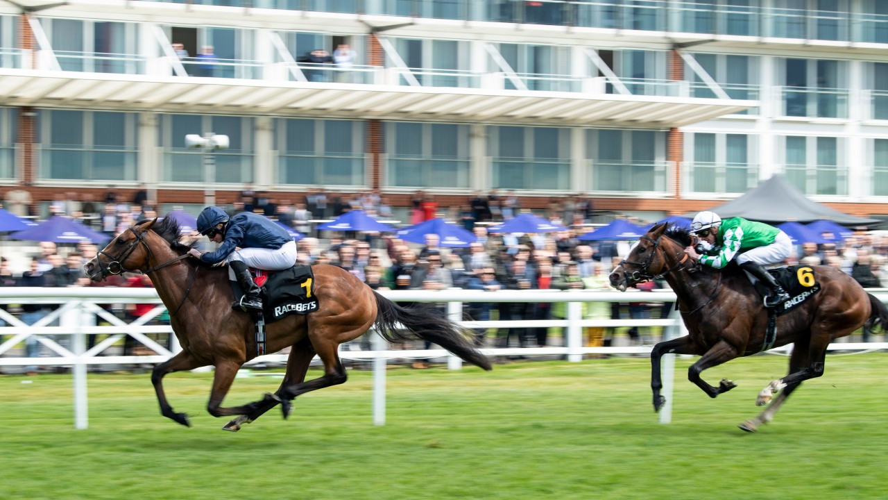 Aidan O'Brien 1-2 to win the Derby after Anthony Van Dyck lands ...