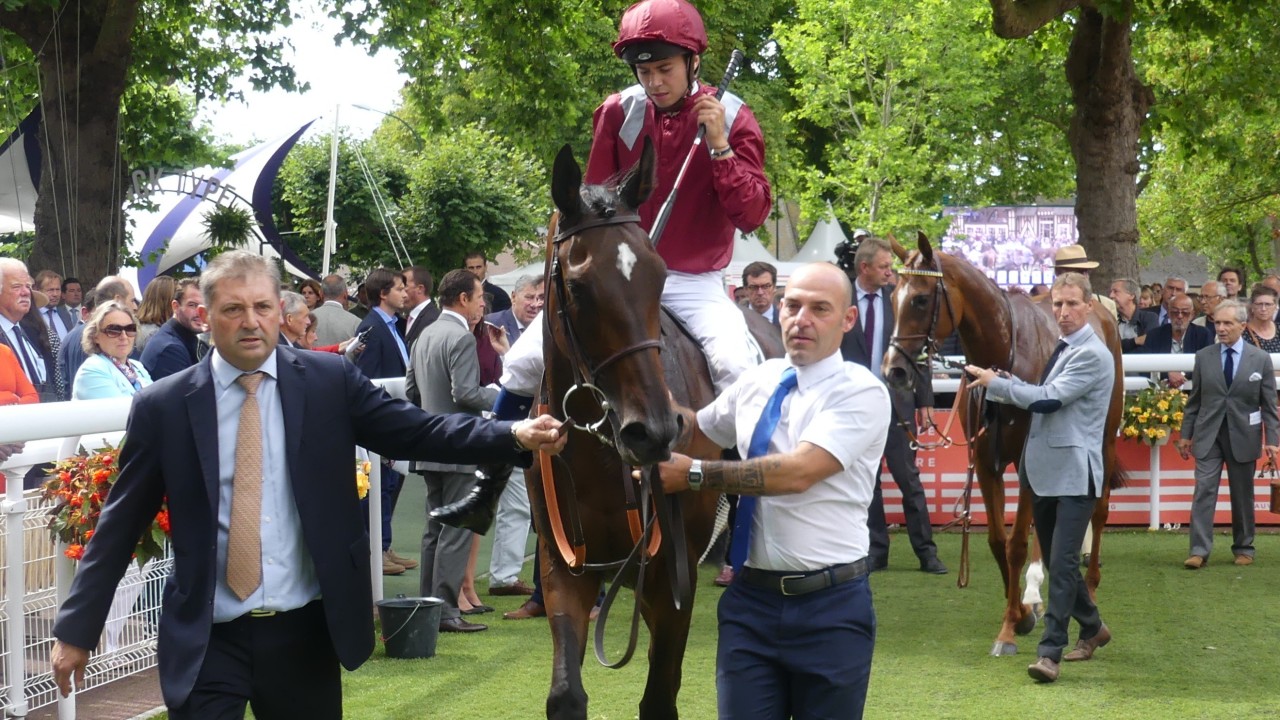 Hannon's Star Terms could return to Longchamp after Minerve second ...