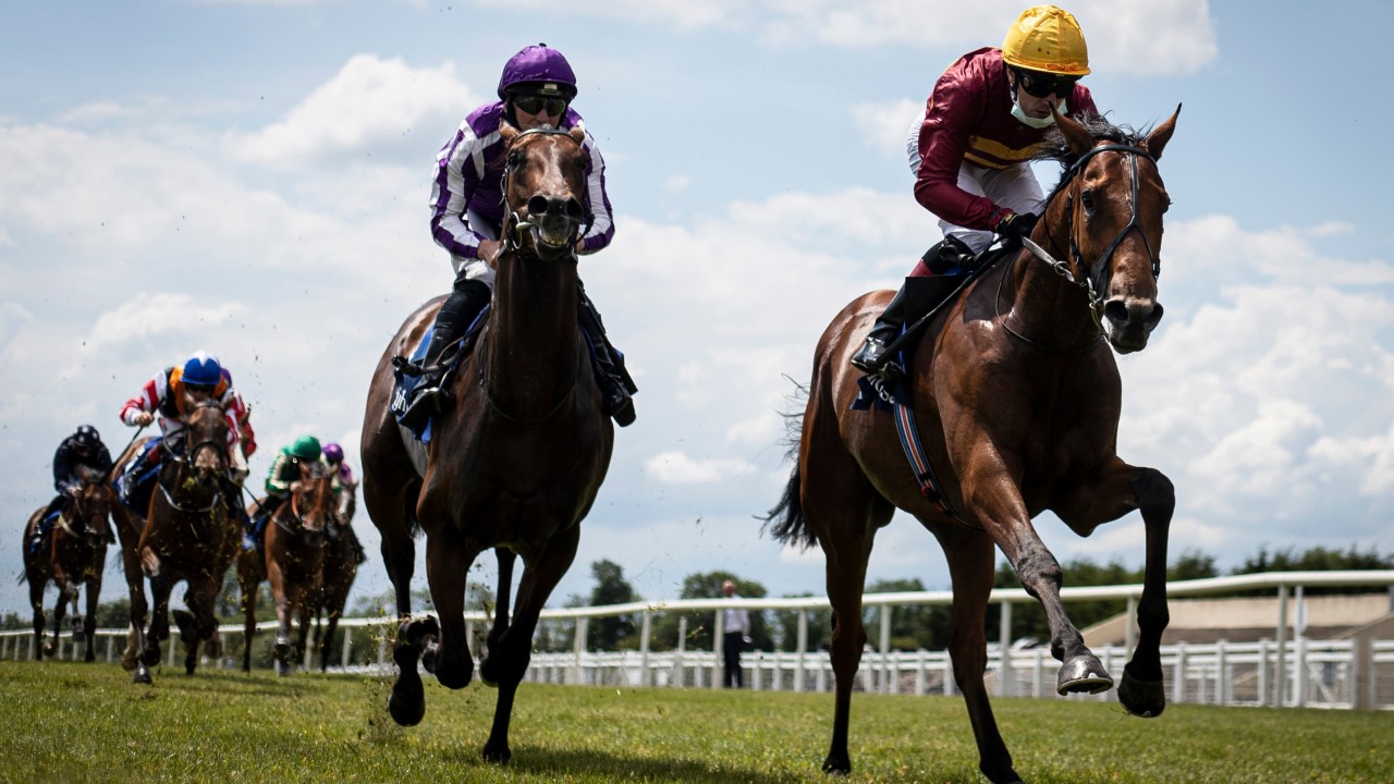 State Of Rest provides top-level triumph for Starspangledbanner and ...