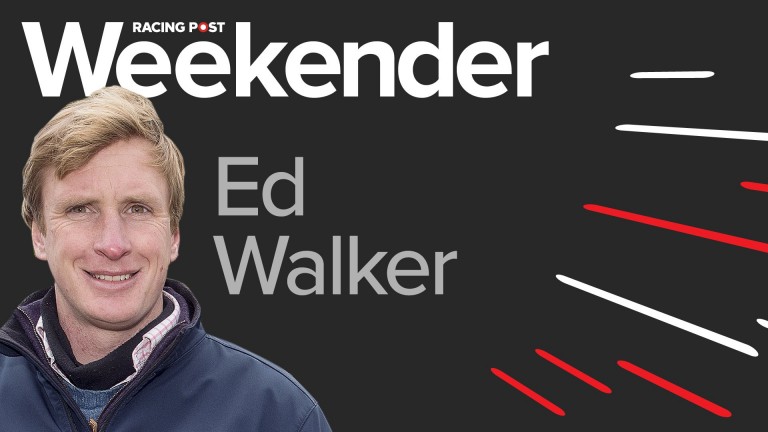 Horse Racing News | Latest Racing Updates | Racing Post