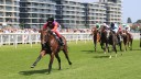 Horse Racing News | Latest Racing Updates | Racing Post