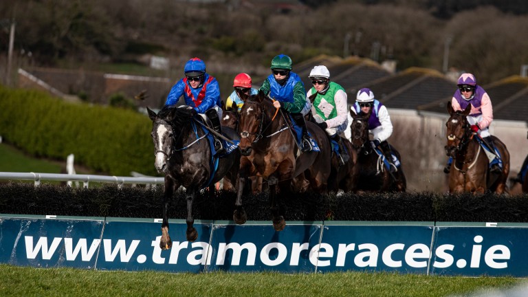 Horse Racing News | Latest Racing Updates | Racing Post