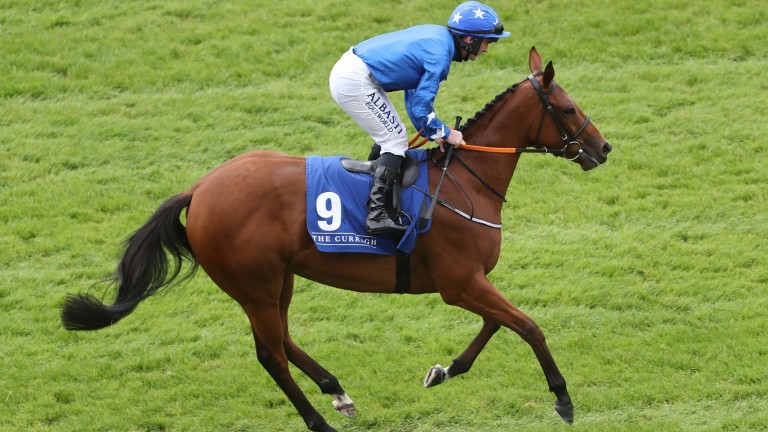 Horse Racing News | Latest Racing Updates | Racing Post