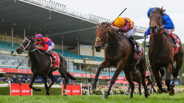 Horse Racing News | Latest Racing Updates | Racing Post