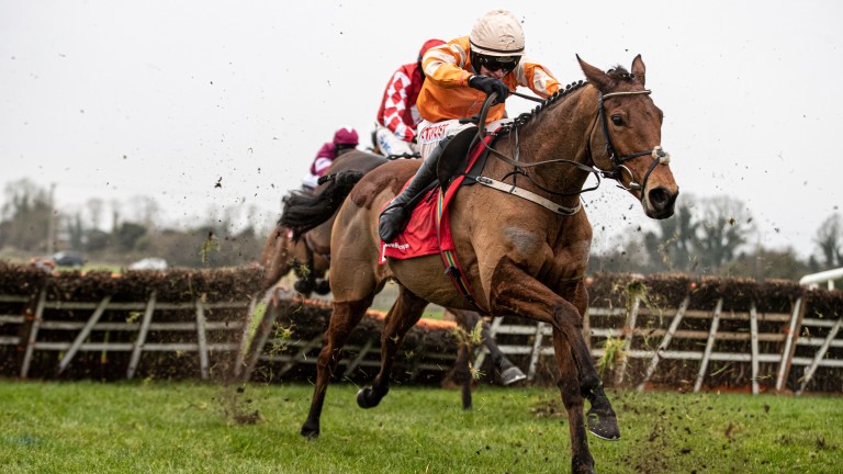 Bloodstock | Thoroughbred Horse Sales | Racing Post