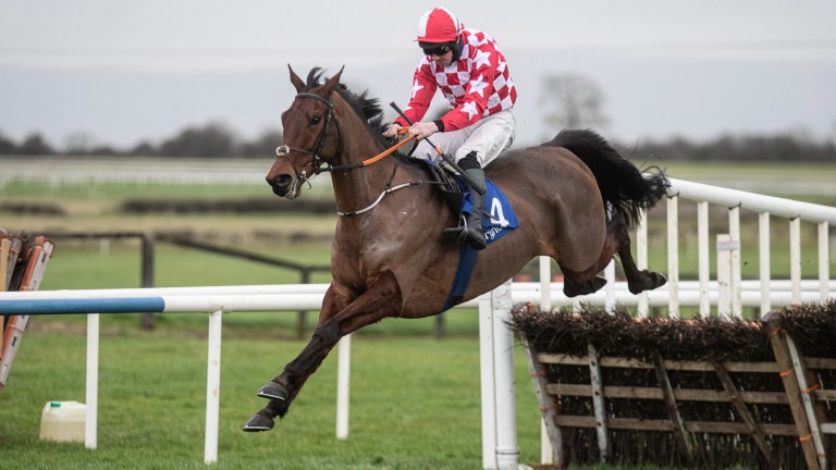 Horse Racing News | Latest Racing Updates | Racing Post