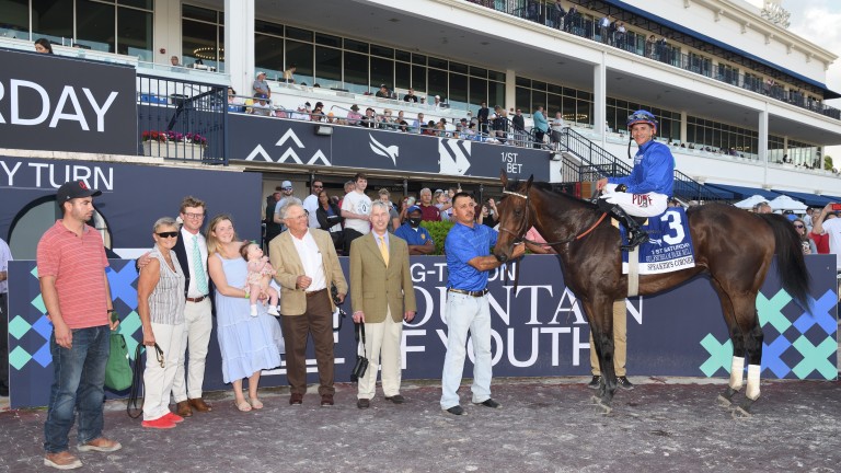 Bloodstock | Thoroughbred Horse Sales | Racing Post