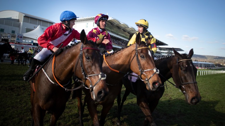 Horse Racing News | Latest Racing Updates | Racing Post