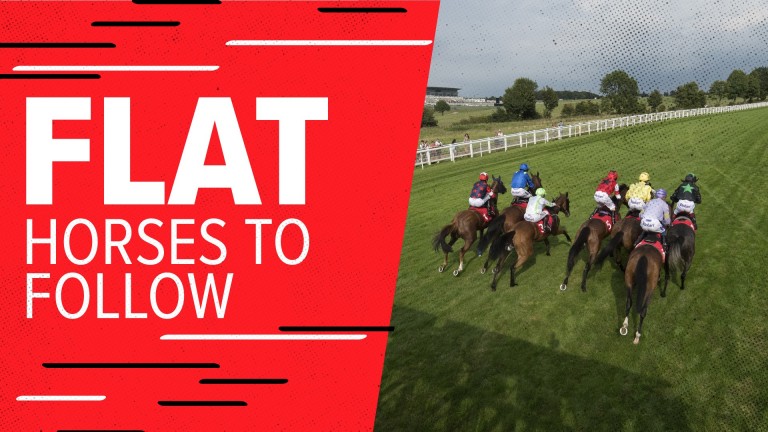 Horse Racing News | Latest Racing Updates | Racing Post