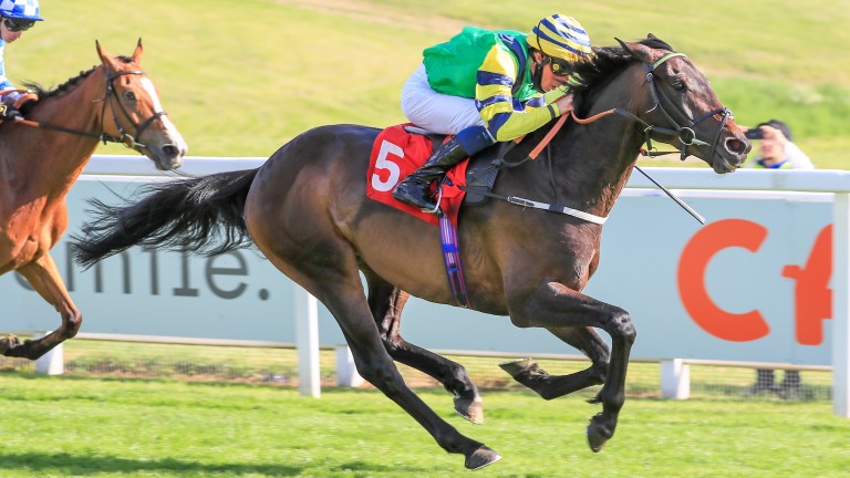 Horse Racing News | Latest Racing Updates | Racing Post