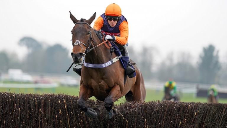 Horse Racing News | Latest Racing Updates | Racing Post