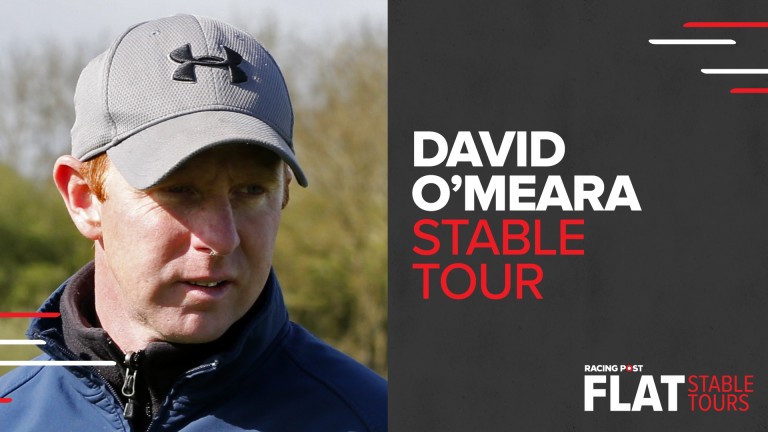 Horse Racing News | Latest Racing Updates | Racing Post