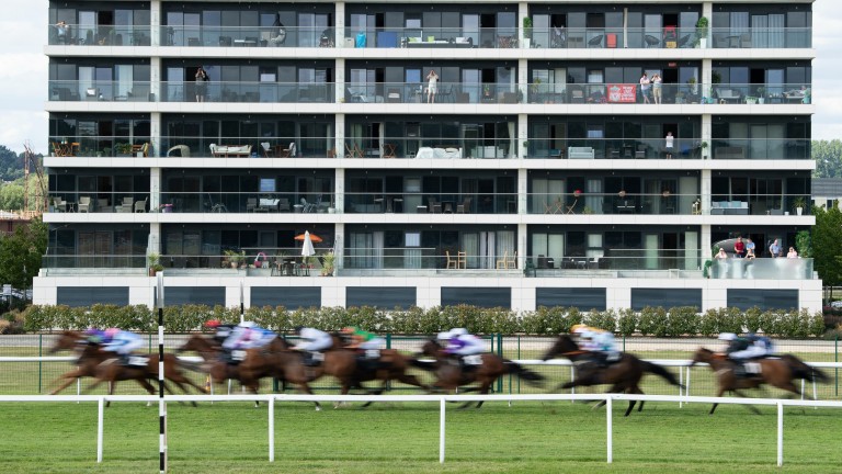 Horse Racing News | Latest Racing Updates | Racing Post