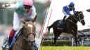 Horse Racing News | Latest Racing Updates | Racing Post
