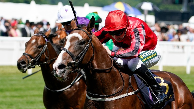 Horse Racing News | Latest Racing Updates | Racing Post