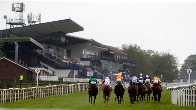 Horse Racing News | Latest Racing Updates | Racing Post