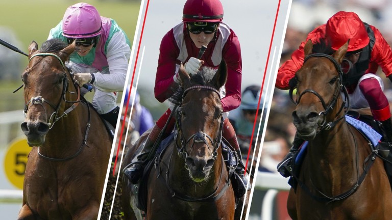 Horse Racing News | Latest Racing Updates | Racing Post