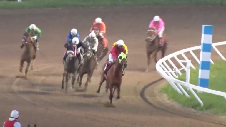 Horse Racing News | Latest Racing Updates | Racing Post