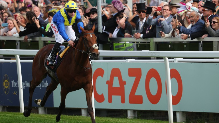 Bloodstock | Thoroughbred Horse Sales | Racing Post