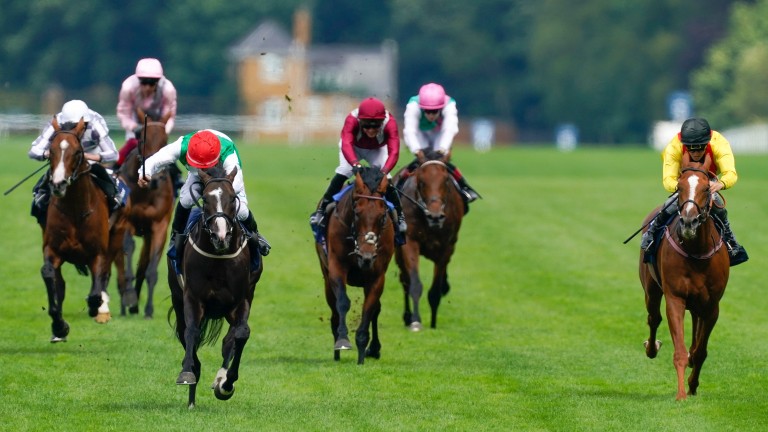 Horse Racing News | Latest Racing Updates | Racing Post