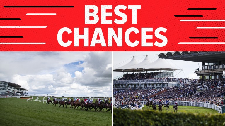 Horse Racing News | Latest Racing Updates | Racing Post