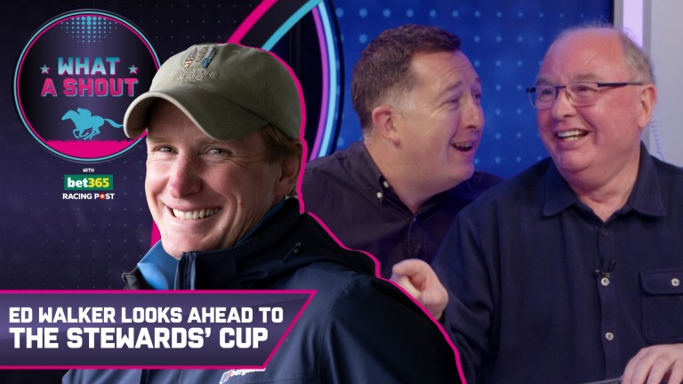 Horse Racing News | Latest Racing Updates | Racing Post