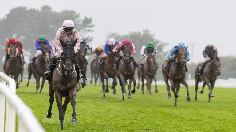 Horse Racing News | Latest Racing Updates | Racing Post