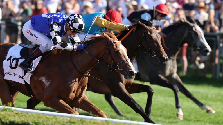 Bloodstock | Thoroughbred Horse Sales | Racing Post