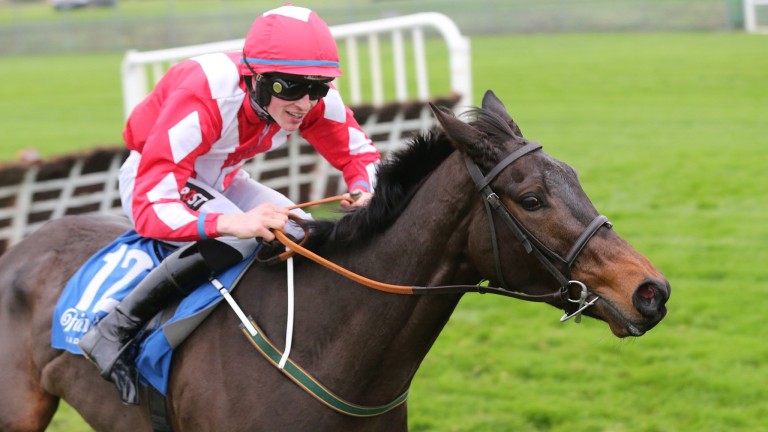 Bloodstock | Thoroughbred Horse Sales | Racing Post