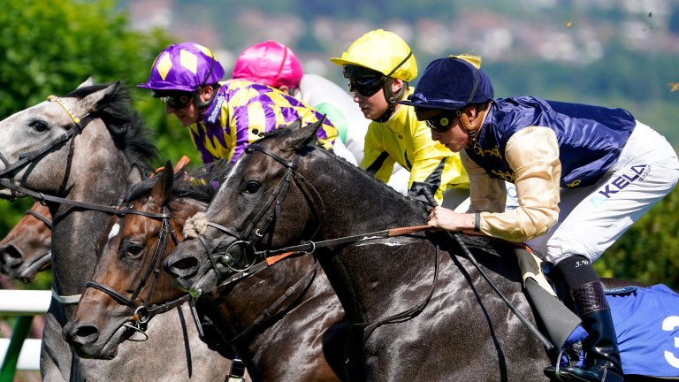 Horse Racing News | Latest Racing Updates | Racing Post