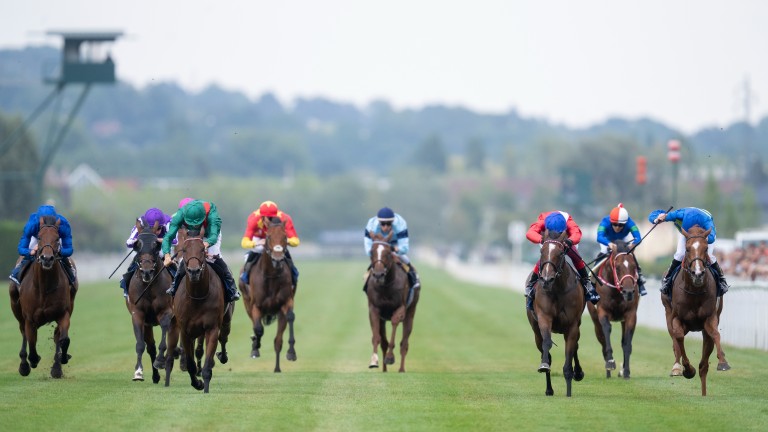 Horse Racing News | Latest Racing Updates | Racing Post