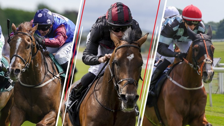 Horse Racing News | Latest Racing Updates | Racing Post