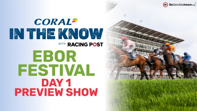 Horse Racing News | Latest Racing Updates | Racing Post