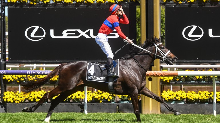 Horse Racing News | Latest Racing Updates | Racing Post