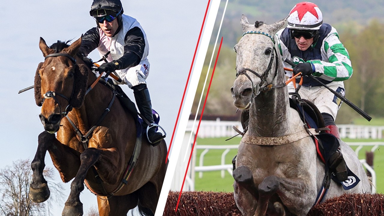 Who wins the Paddy Power Gold Cup? Assessing the key contenders for the ...